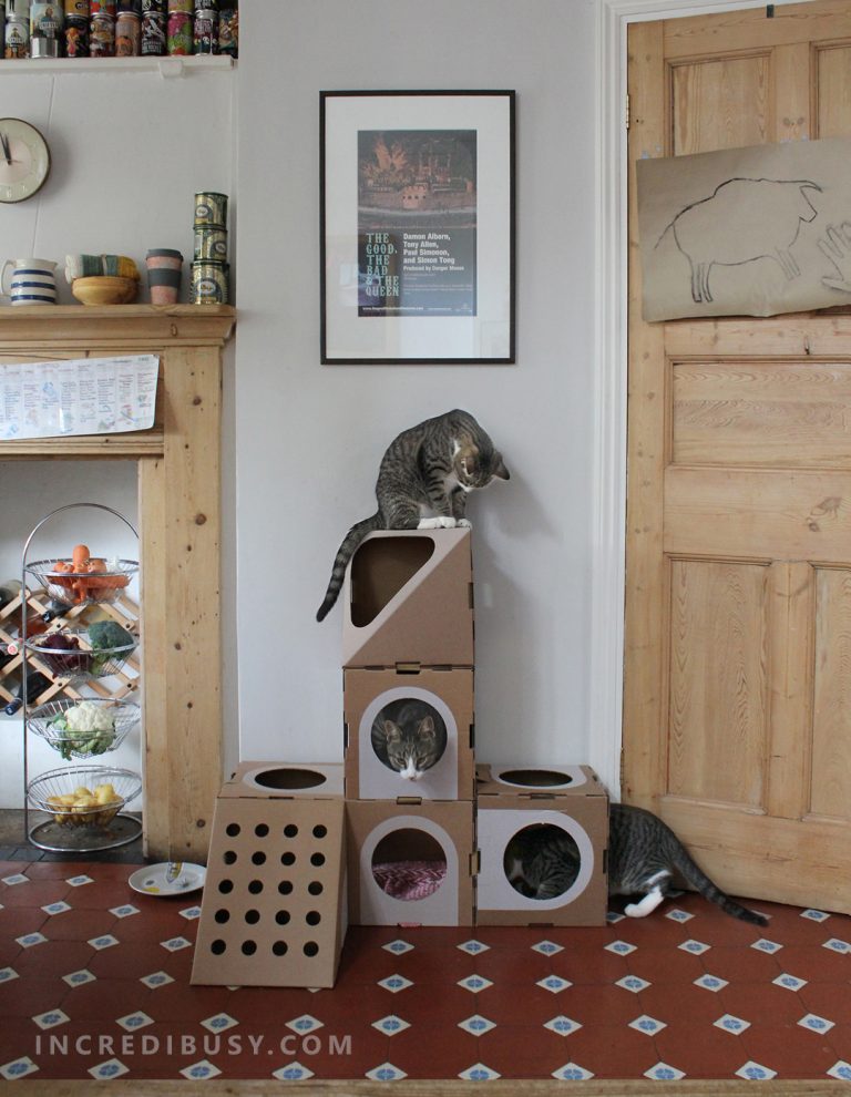 Build A CAT THING modular cat cave