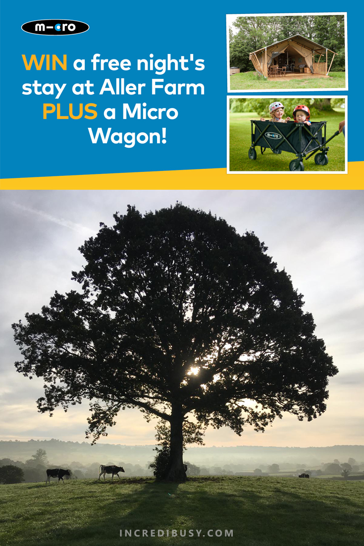 WIN a free night's stay at Aller Farm Glamping and a Micro Wagon from ...