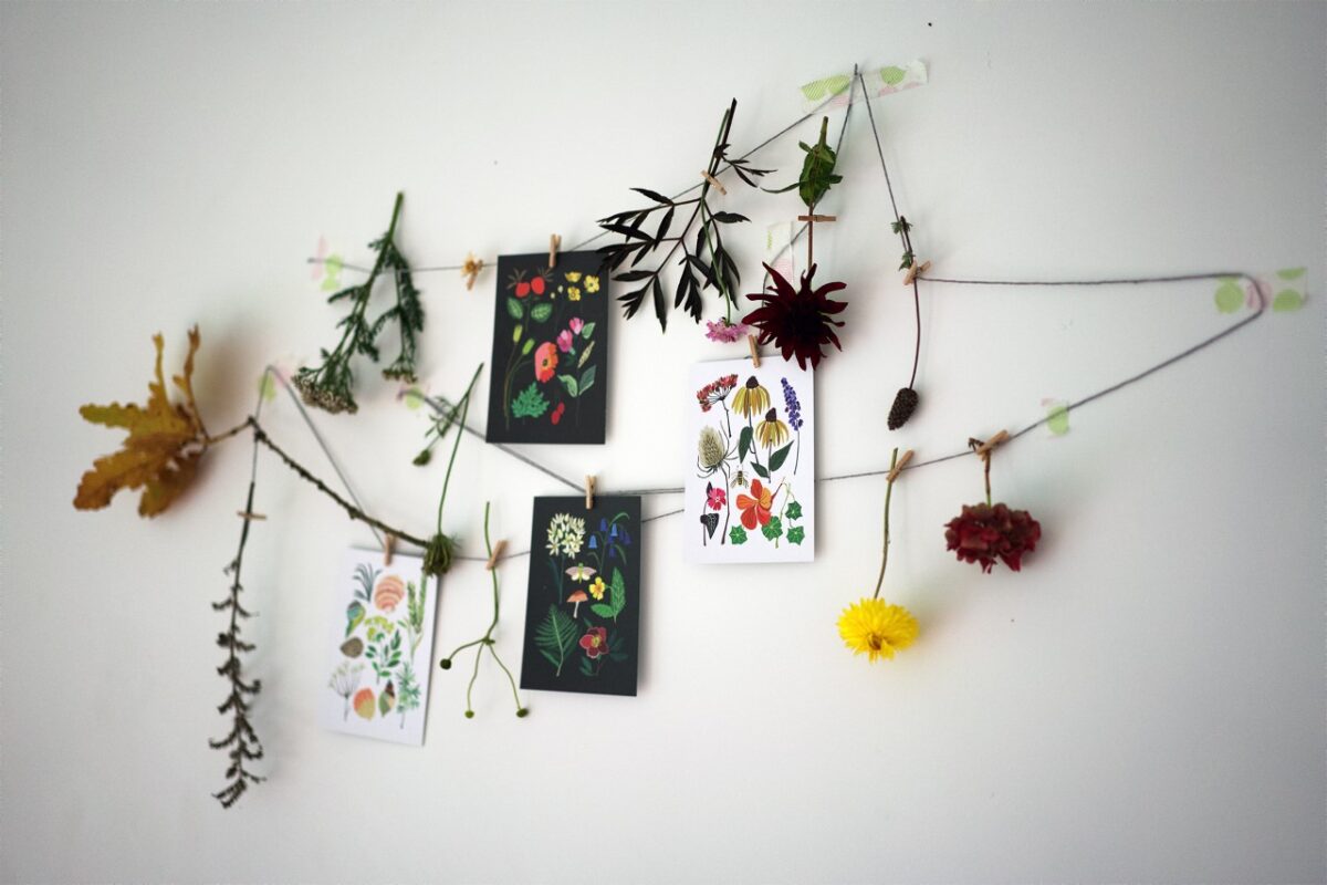 Meet the Creative: Illustrator Brie Harrison - Incredibusy