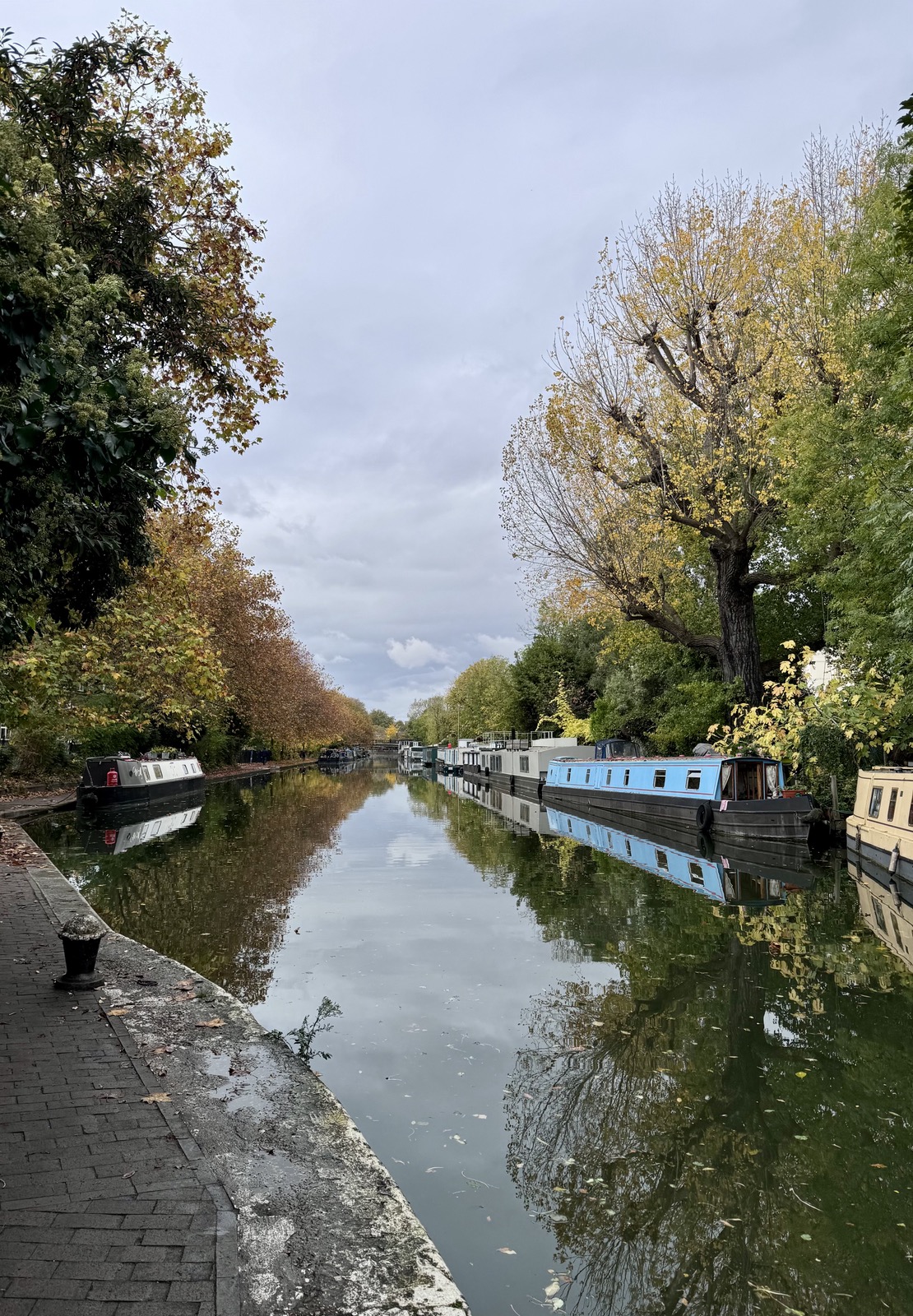 Wandering London: slow walks, love stories, and the paths that bring us ...